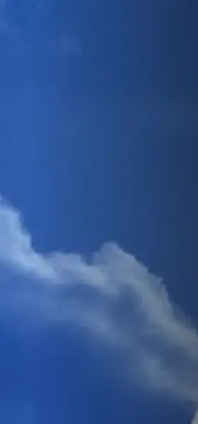 Dah Chong Hong Transforms Customer Experiences | OutSystems