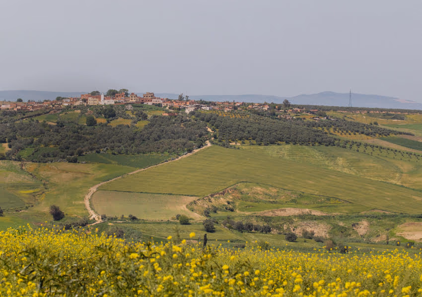 SUEZ Powers Circular Economy Innovation | OutSystems