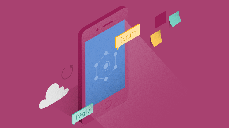 Agile vs frAgile: Handle Your Scrum with Care
