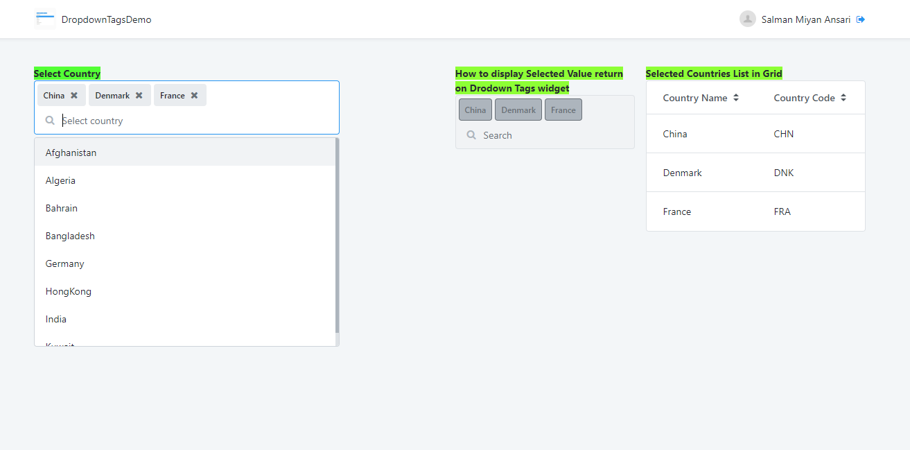 Dropdown Tags Demo Example - Overview (O11) | OutSystems